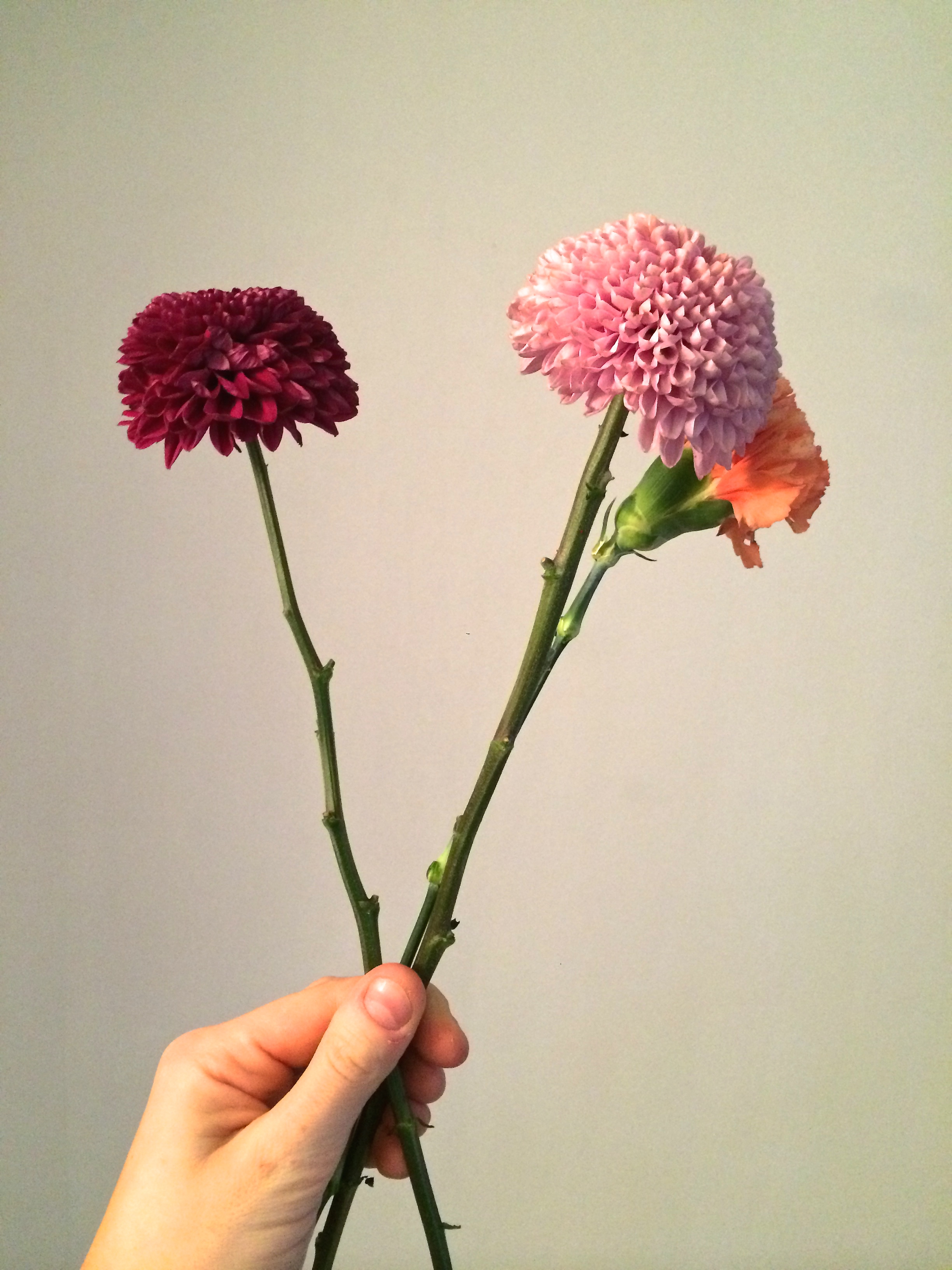 Floral Arranging 101 With: Elaine Burns | SCISSORS & SAGE