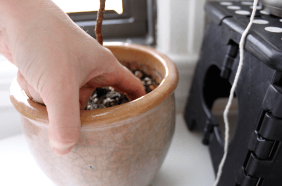 DIY Self-Watering System for Houseplants | SCISSORS & SAGE